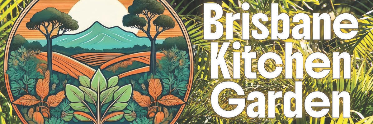 The Brisbane Kitchen Garden Project: A Practical Guide That Actually ...